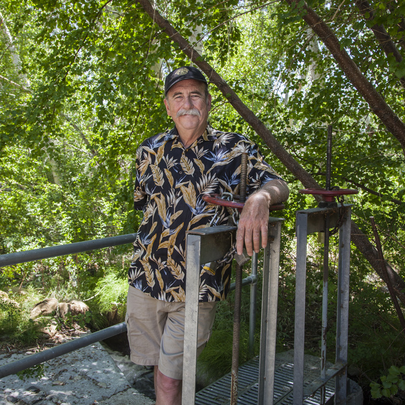Track 11: Thaddeus Taylor, 40 Acres Resident - THERE IT IS—TAKE IT!